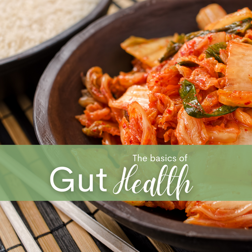 Understanding the Basis of Gut Health | Wellness with Krista