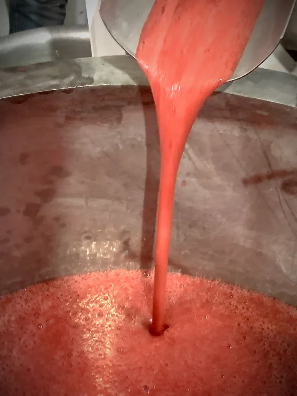 1 TPD Aseptic Machine | InnoFarms