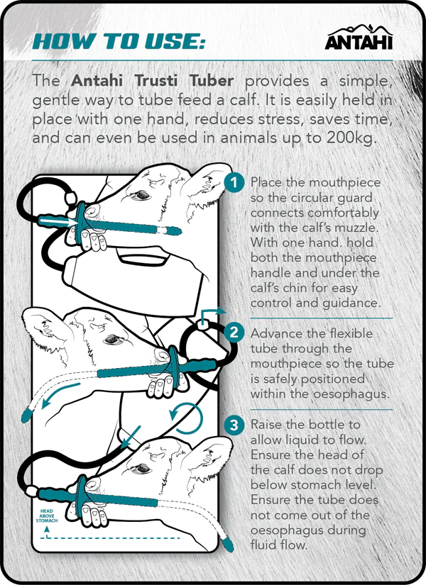 TRUSTI TUBER STARTER PACK 2 EN 1 | Cecbelac