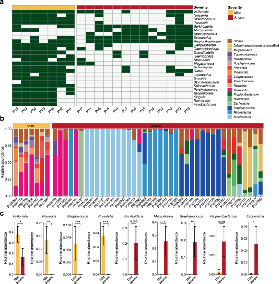Understanding the microbial composition of the respiratory tract in ...