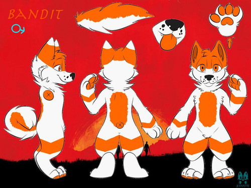 Fursuit Reference Sheet | Studios