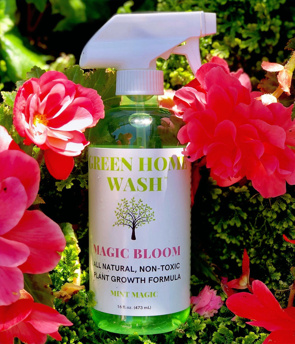 Magic Bloom Plant Growth Formula | GH Wash