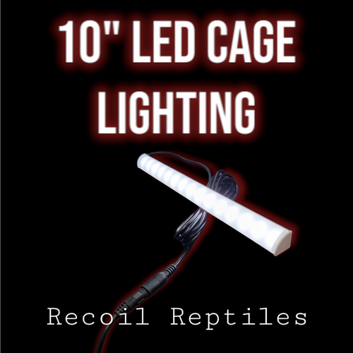 10" LED Cage Light | Recoil Reptiles