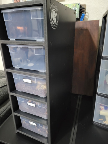 5 Level ISOPOD Rack, 6 Quart Tubs | Recoil Reptiles