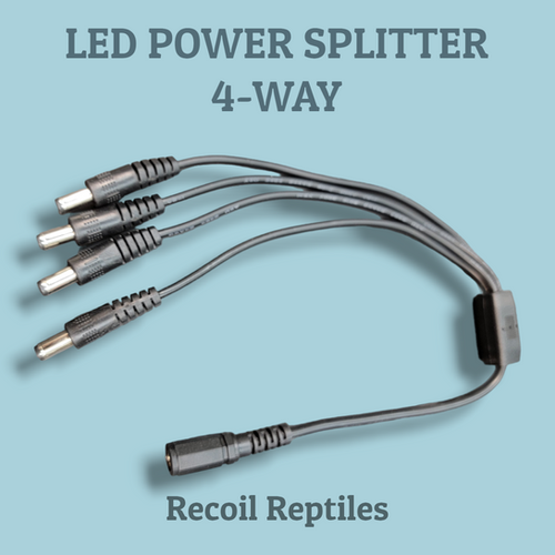 4- Way LED Power Splitter | Recoil Reptiles