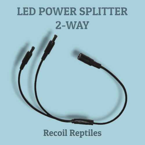 2 - Way LED Power Splitter | Recoil Reptiles