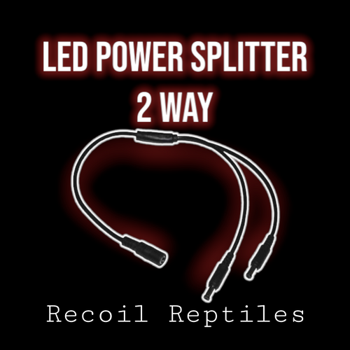 2 - Way LED Power Splitter | Recoil Reptiles
