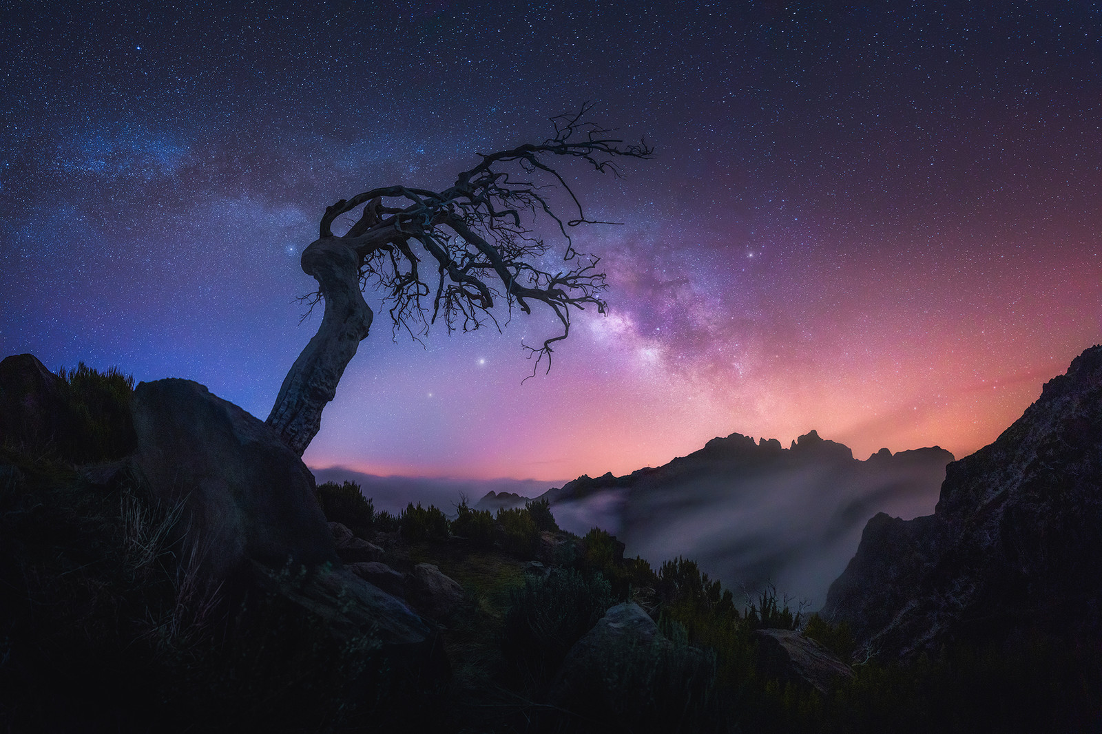 Albert Dros Photography