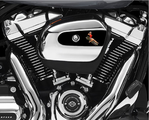 Pin Up Girl Bomb Air Cleaner M8/107 Insert | classic-layout