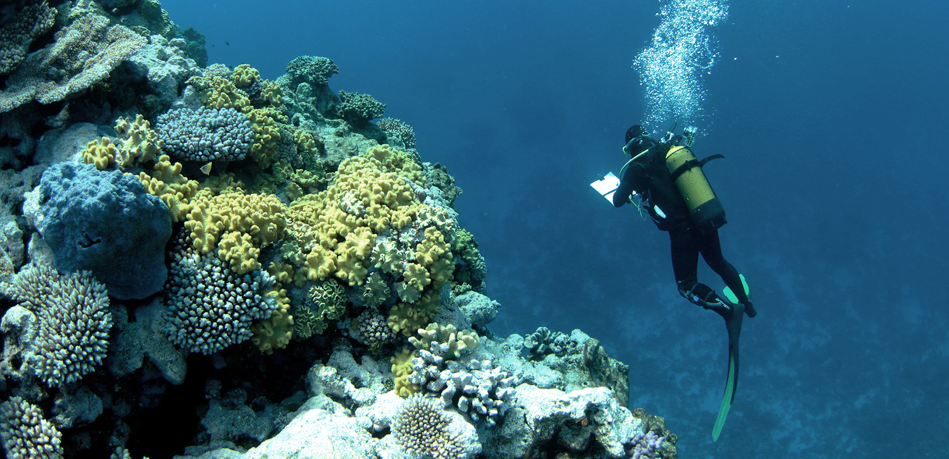 Associação Brasileira de Oceanografia | AOCEANO