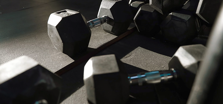 Join “Bunny Fit” on Fit by Wix