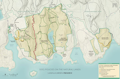 Natural Lands Dog Policies | Land&GardenPreserve