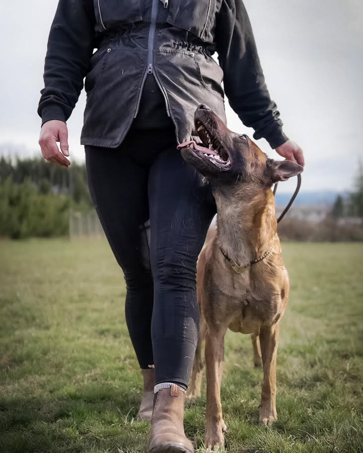 Kelly Dunbar Dog Training