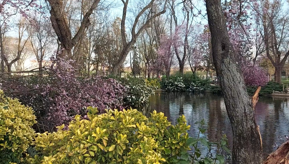 El origen de Villaverde - Periódico Distrito Villaverde