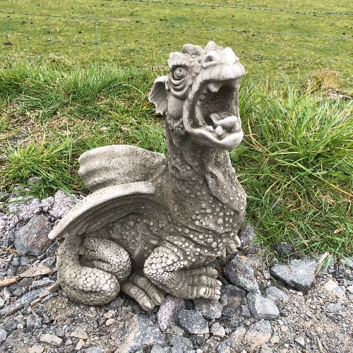 Dragon | Cambrian Clearance