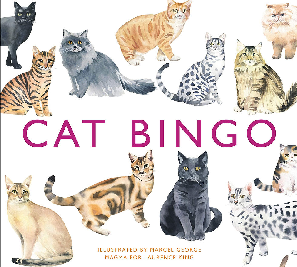 Cat Bingo | MIZU