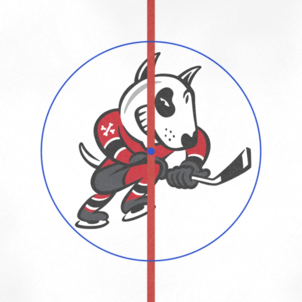 Niagara IceDogs 2013 Center Ice and Rink Layout | TheFaceoff.net