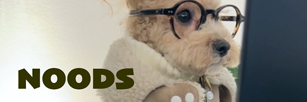 Noods Coin | Official Memecoin for Noodles the Pooch