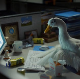 FATAL FARM | COMMERCIALS