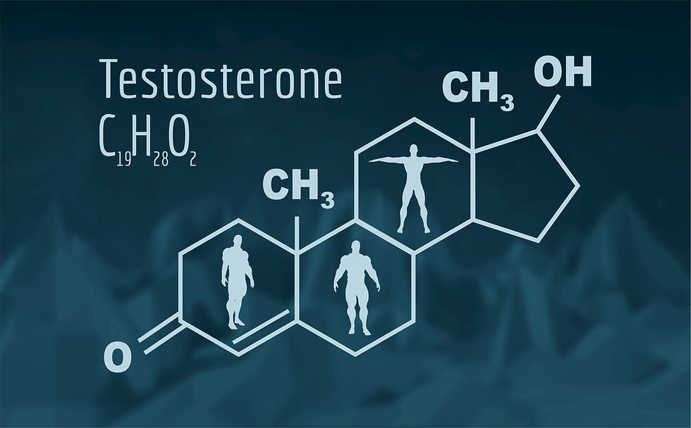 Testosterone: What Do the Numbers Mean?