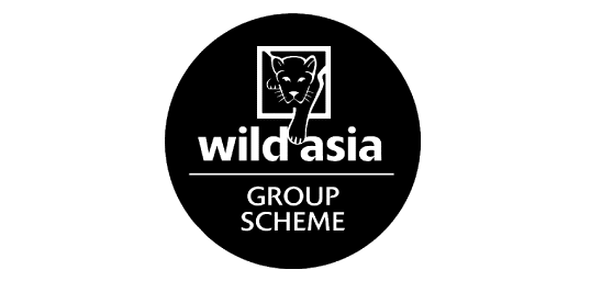 Graphic Design Services | Mezzione Solutions Malaysia