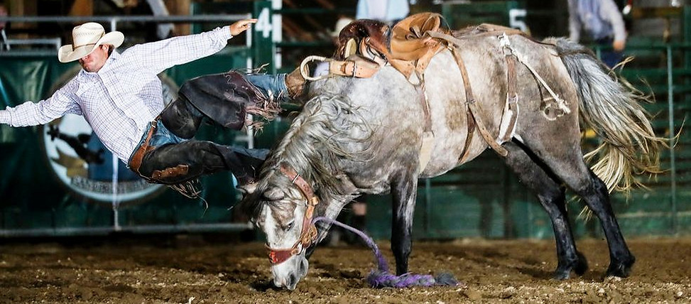 Sandpoint Bonner County Rodeo Official Website
