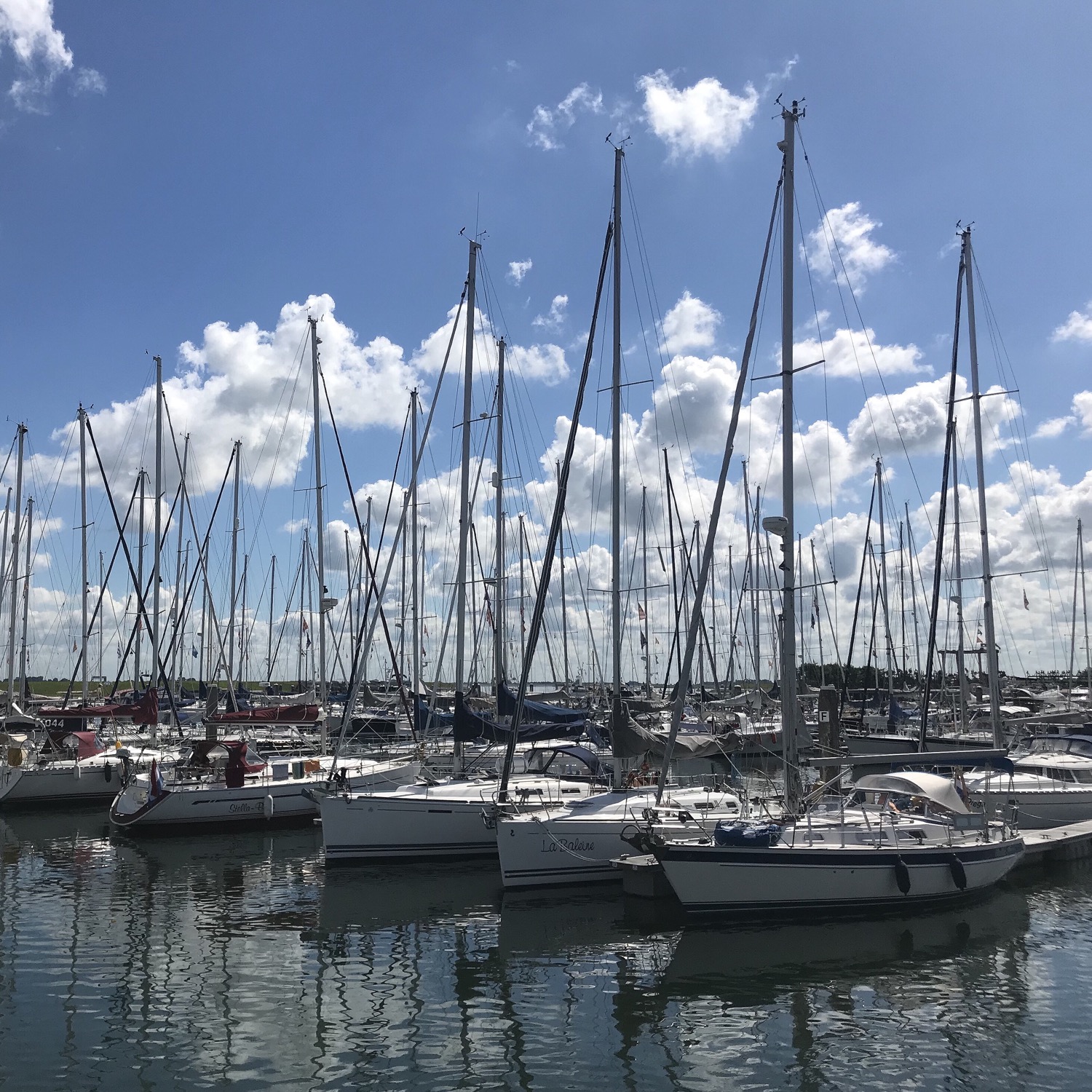 Tholen Zeeland [2026] | eefinthecity
