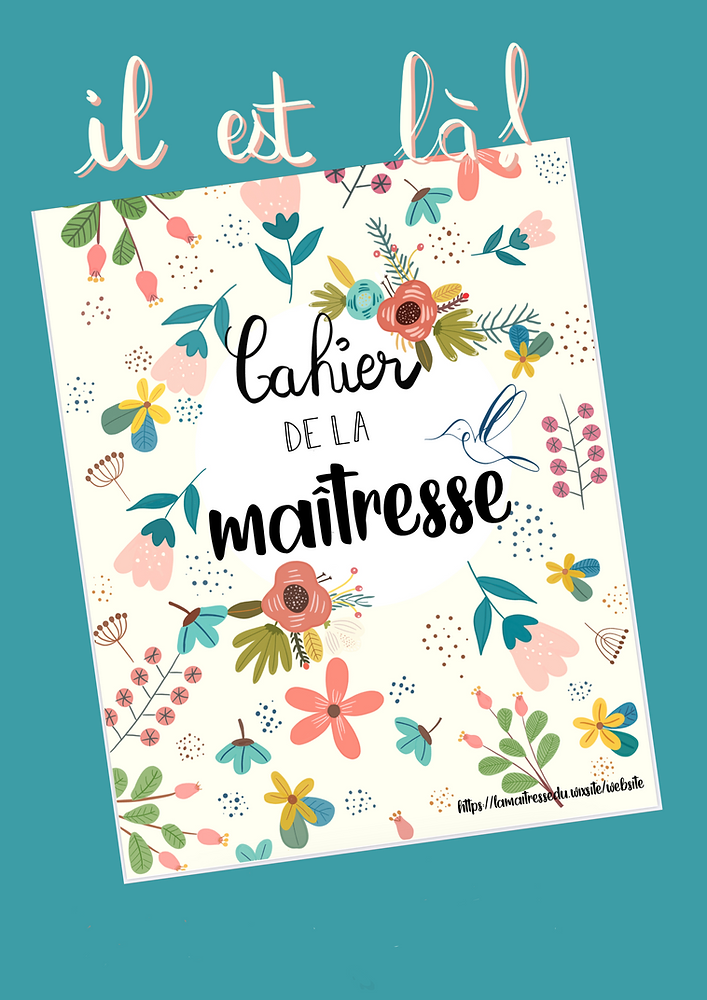 Le cahier de la maîtresse et du maître.