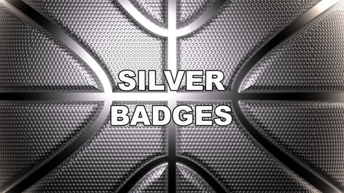 Silver Badges | C.S.B.A