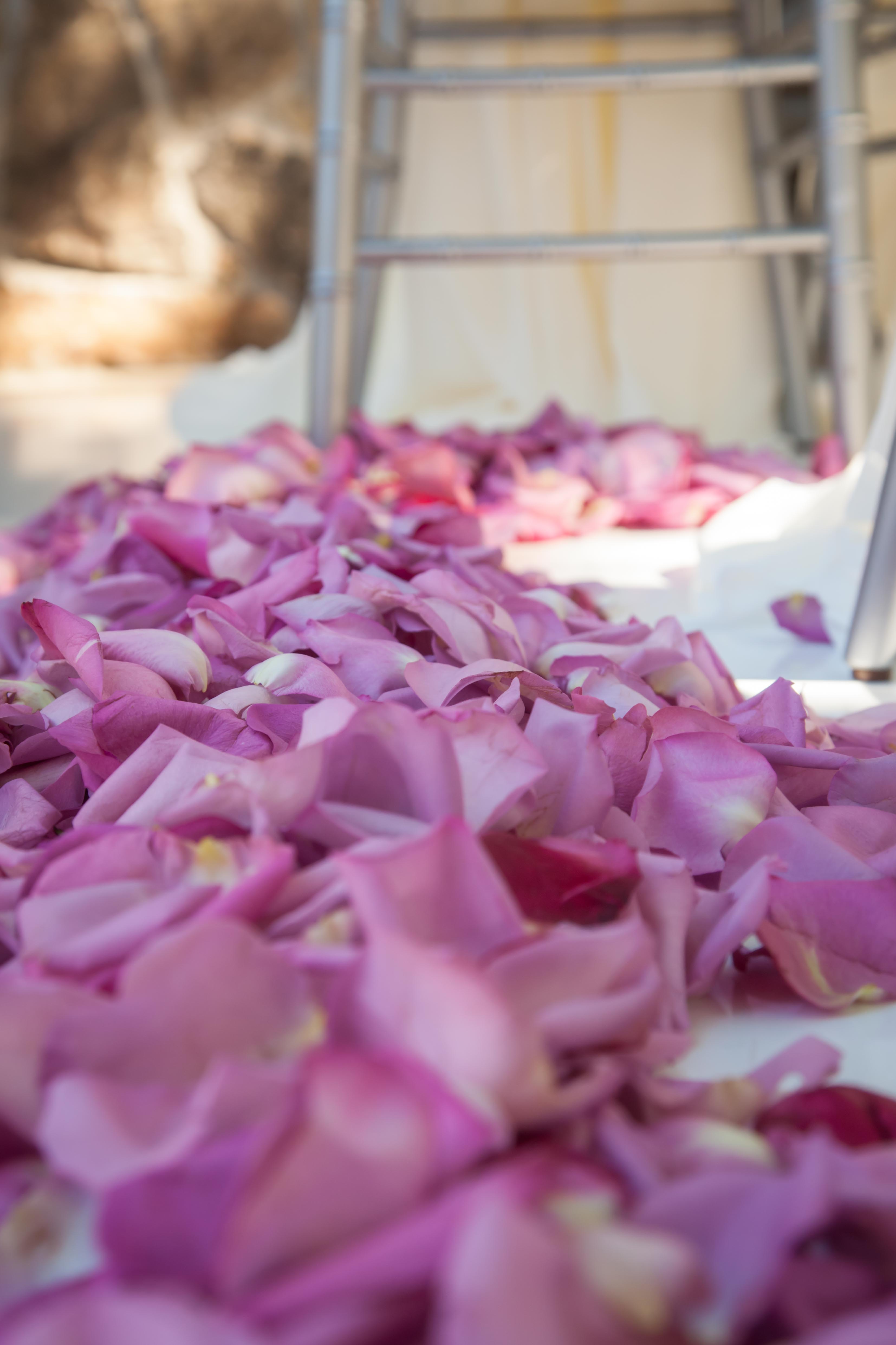 Posh & Private Event Design | Event and Wedding Planner | Gallery