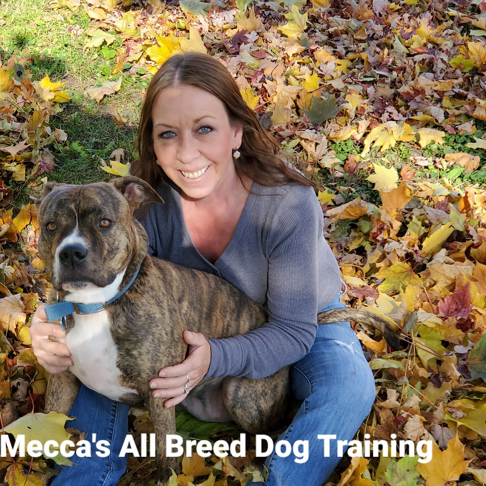 Trigger Stacking - Leads to Reactivity