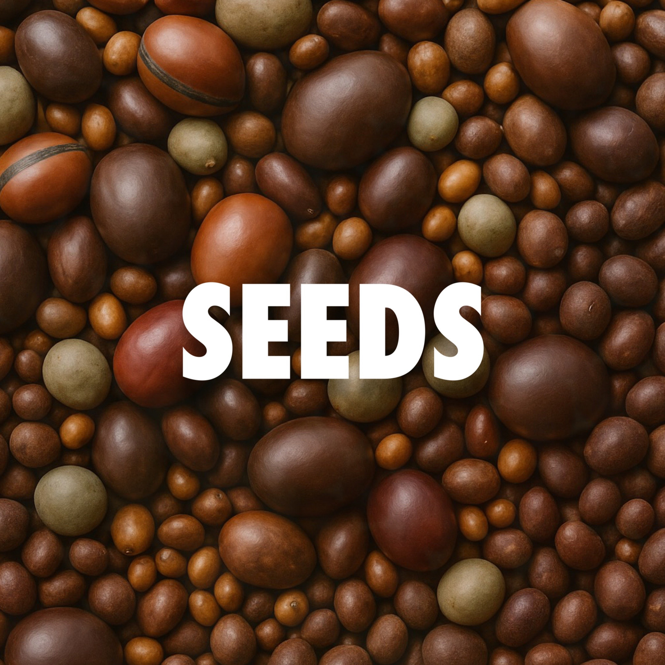 Seeds