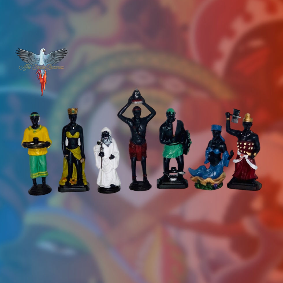 Afro Caribe Botanica | Your Authentic Source for Spiritual Supplies ...