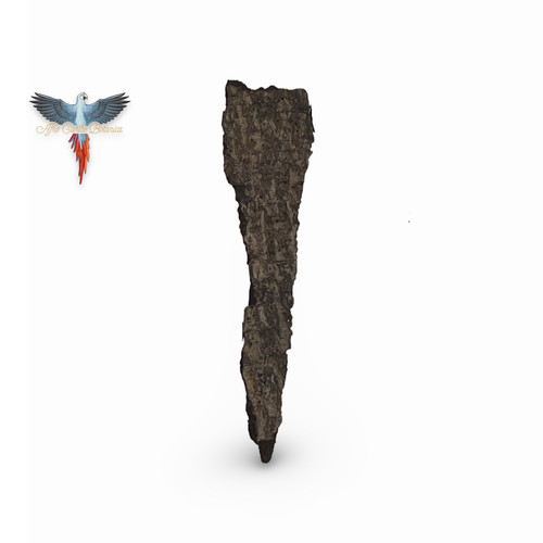 Epo Obo - Gutta Percha Tree Bark | Afro Caribe Botanicahttps://static ...