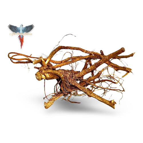 Loose Bondage Root - Egbo Tude | Afro Caribe Botanica Spiritual Tool