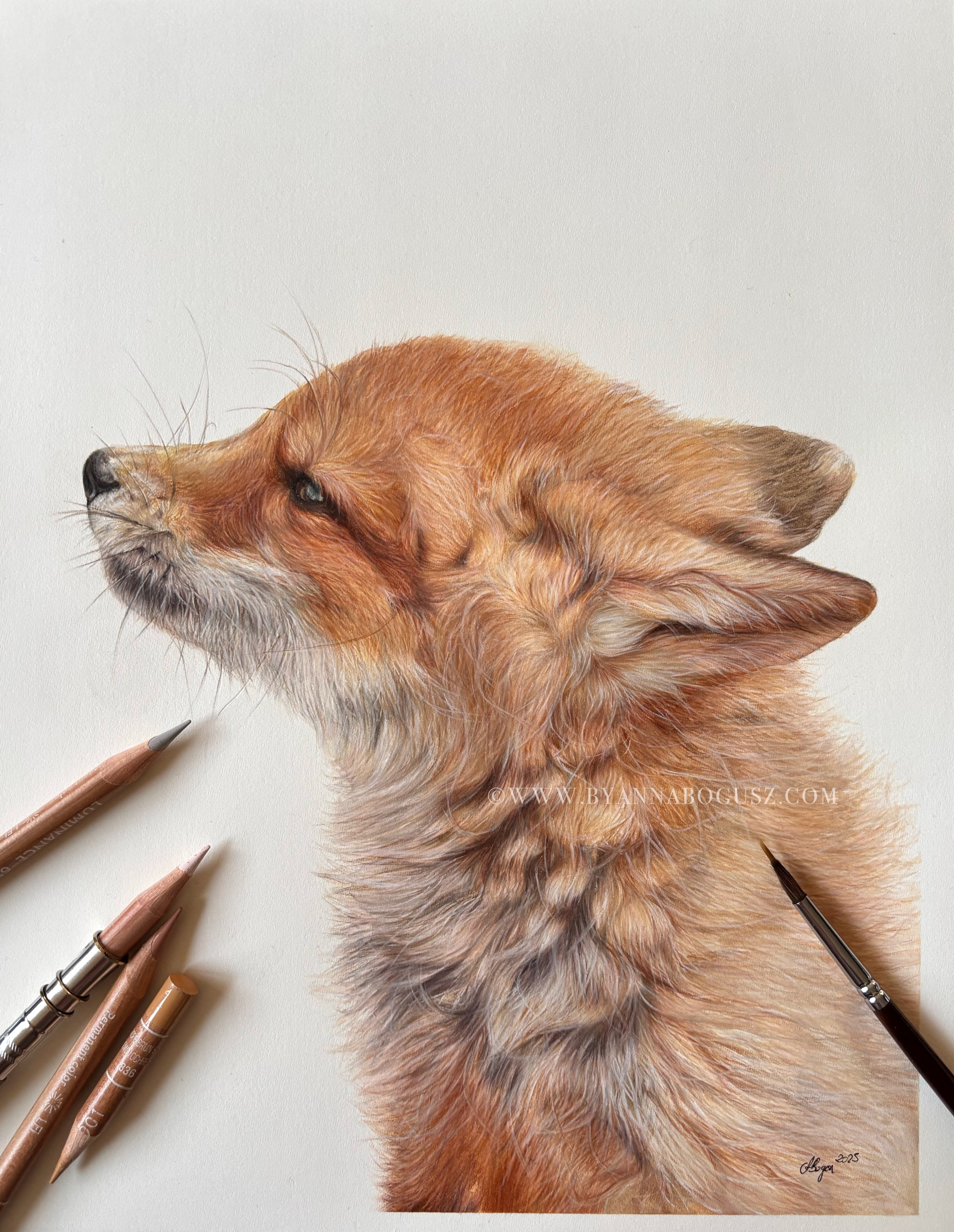 All Products | Anna Bogusz Artist