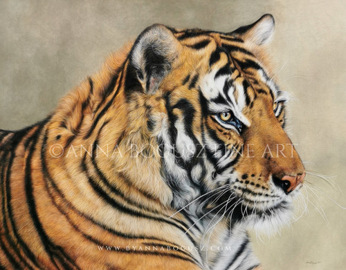 'Tiger Study No. 2' ORIGINAL Artwork - Anna Bogusz Fine Art Collection