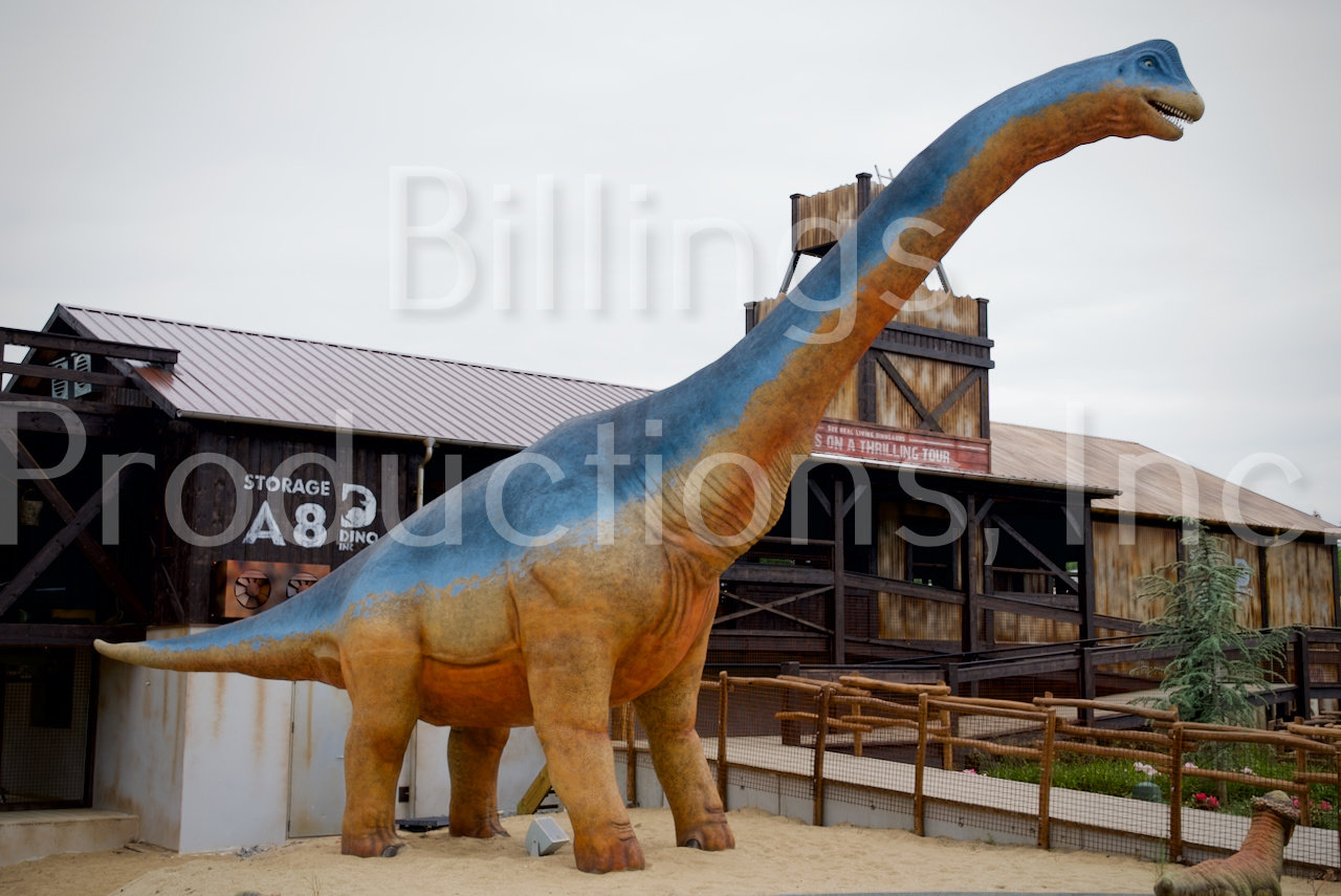 Brachiosaurus