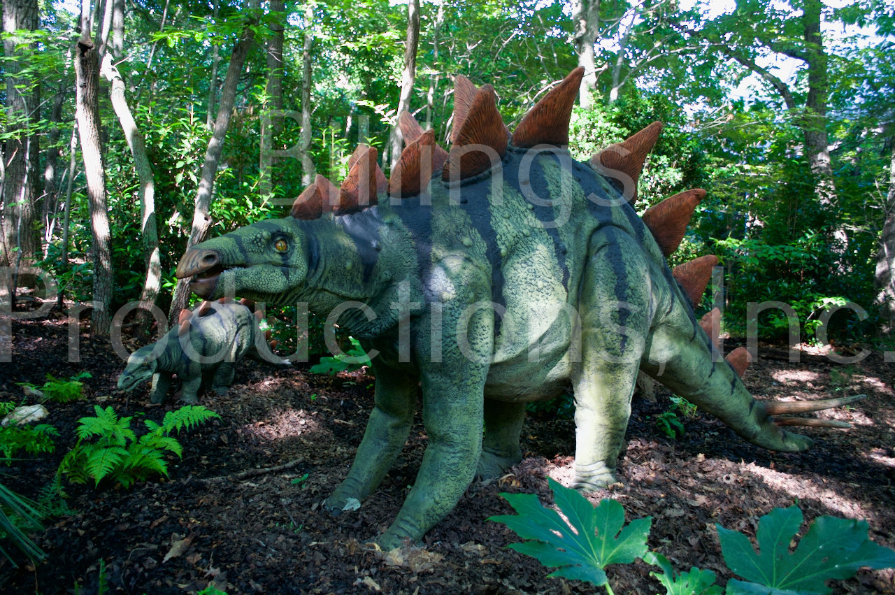 Stegosaurus