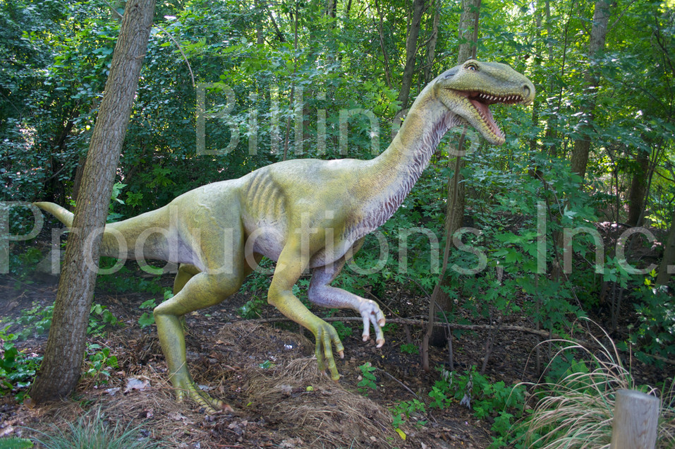 Elaphrosaurus