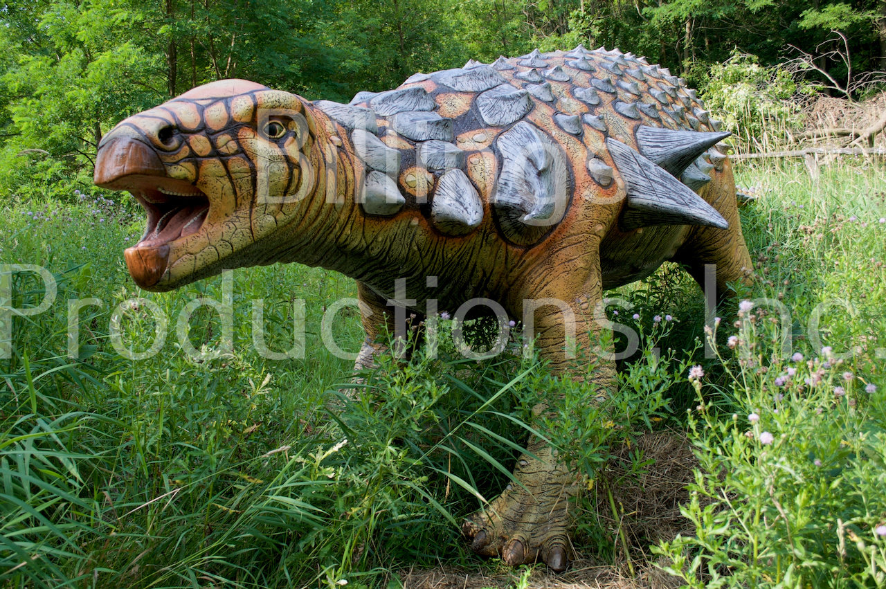 Edmontonia