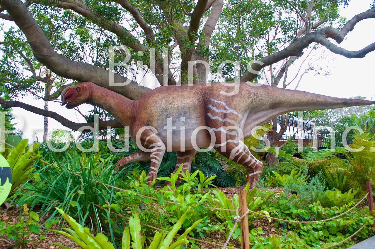 Muttaburrasaurus