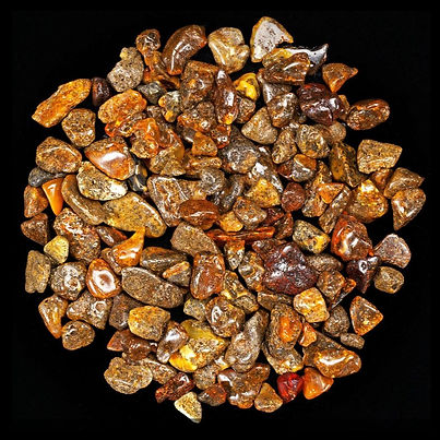 WHAT IS BALTIC AMBER? | Baltic Amber Masters