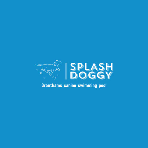 Dog | Splash Doggy | Barkston