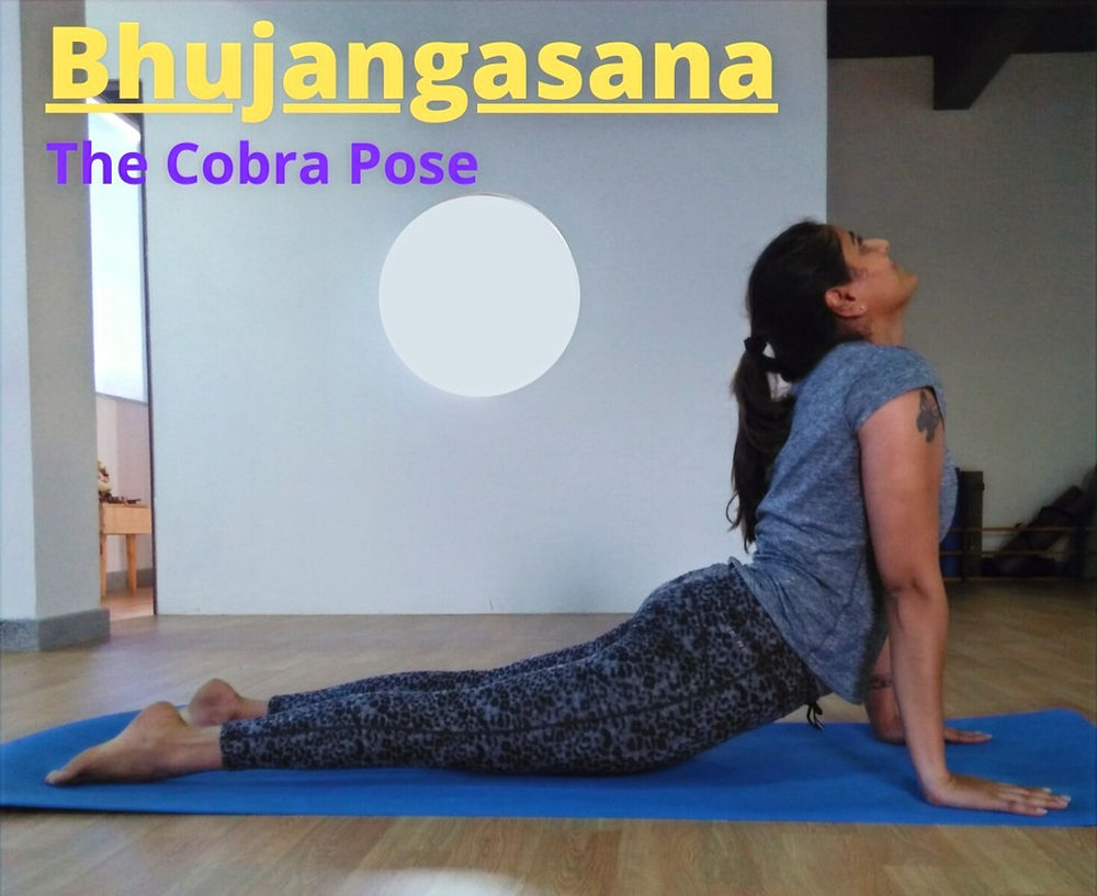 Practice Cobra pose (Bhujangasana) for a relief from back pain.