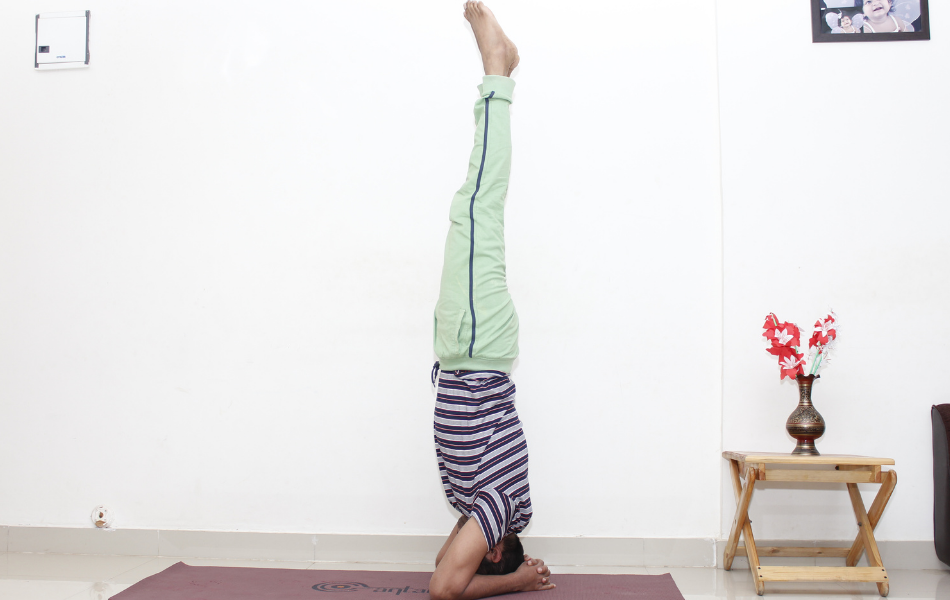 Best Yoga therapy for curing hemorrhoids | Yoga asana for piles