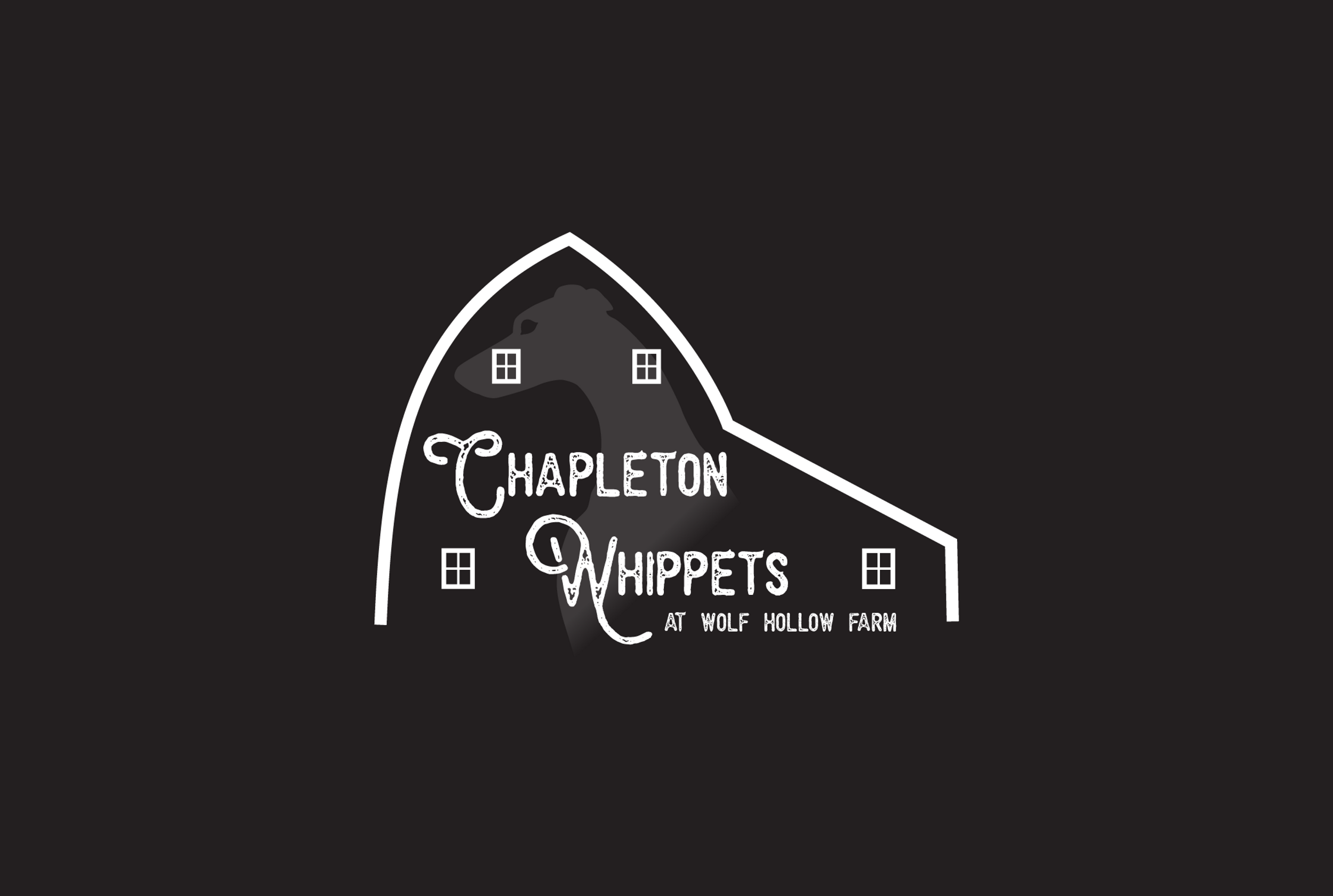 Royalty | Chapleton Whippets | Lakefield, MN