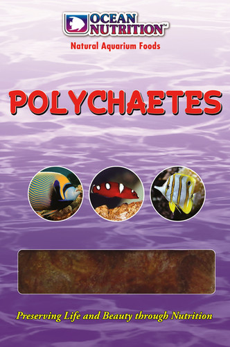 Frozen Polychaetes (Mono Tray) | Aquarium Depot