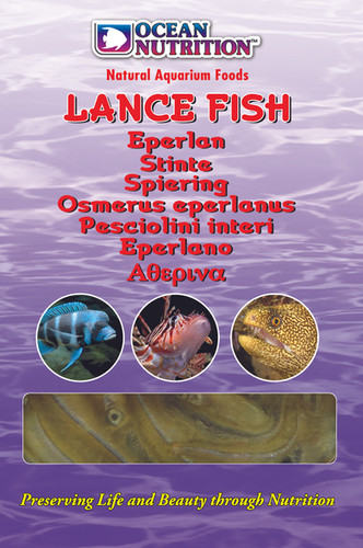 Frozen Lance Fish | Aquarium Depot