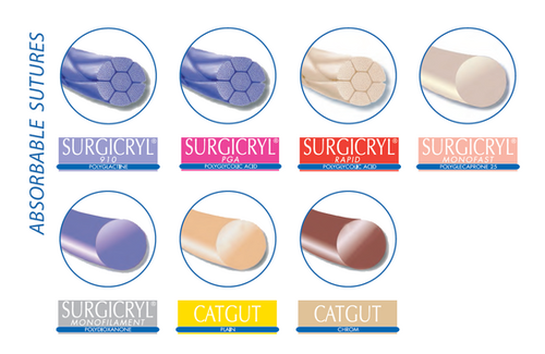 Dental - Absorbable sutures | Muscat Global